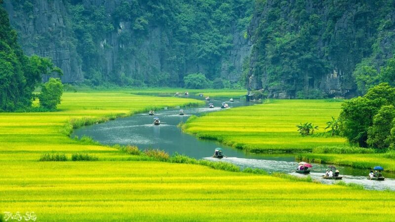 Ninh Binh full day - Mua Cave - Tam Coc boating - Hoa Lu - Key Points