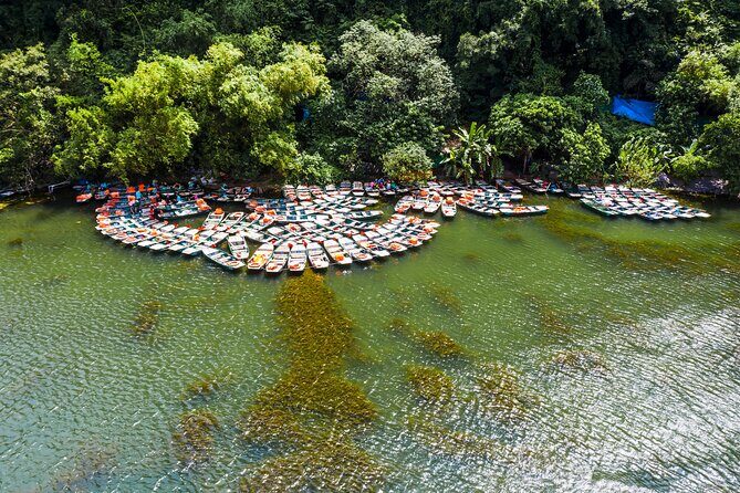 Ninh Binh Full Day Tour Group 9 from Hanoi by Limousine - Key Points