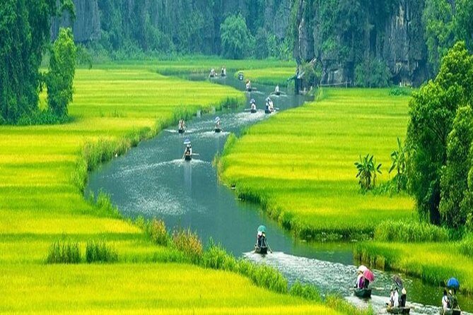 Ninh Binh Full-Day Tour Hoa Lu Tam Coc Cycling, Boat,Buffet Lunch - Authentic Experiences and Honest Feedback from Travelers