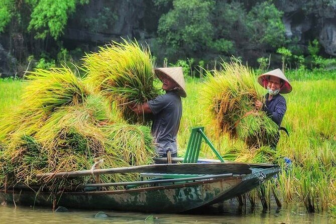 Ninh Binh Full-Day Tour Hoa Lu Tam Coc Cycling, Boat,Buffet Lunch - Final Thoughts