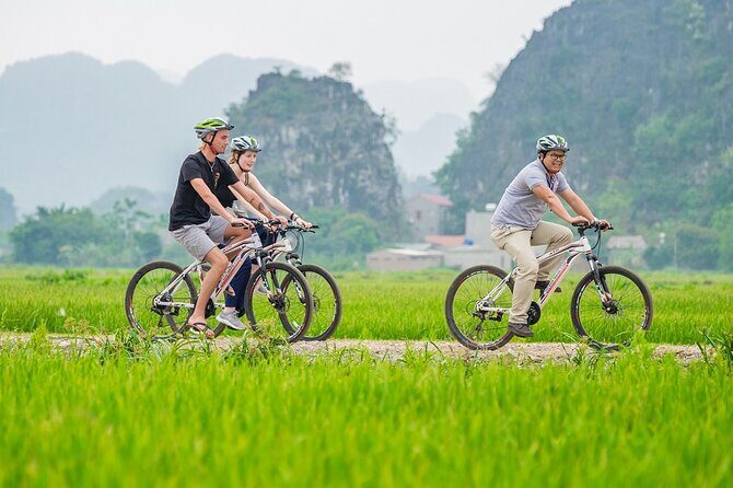 Ninh Binh Full Day Tour with Hoa Lu, Tam Coc and Mua Cave - The Historic Heart: Hoa Lu Temples