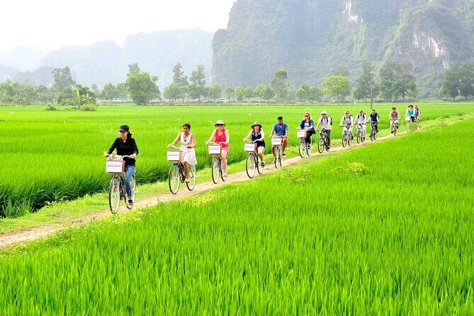 Ninh Binh Full Day Tour with Hoa Lu, Tam Coc and Mua Cave - What Travelers Are Saying