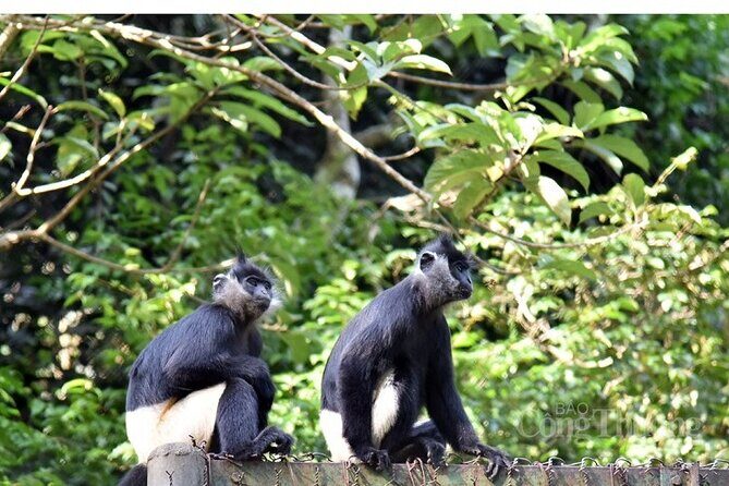 Ninh Binh: Full-Day Trekking Explore Cuc Phuong National Park - Final Thoughts