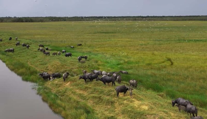 Ninh Binh: Hoa lu, Bai Dinh, Trang an & Mua cave Small Group - The Value and Who it’s Best For