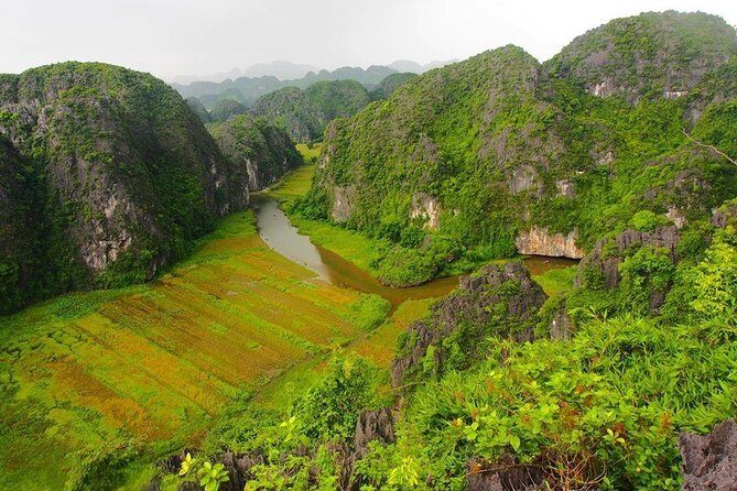 Ninh Binh - Hoa Lu - Mua Cave - Tam Coc 1 Day Tour - Hiking, Biking, and Cultural Activities: Full Immersion