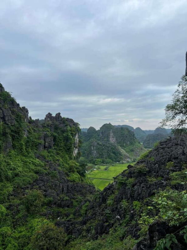 Ninh Binh Hoa Lu, Tam Coc Boat Ride, Mua Cave Hiking Tour - Introduction