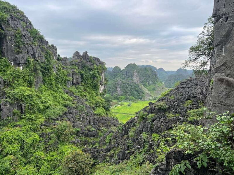 Ninh Binh Hoa Lu, Tam Coc Boat Ride, Mua Cave Hiking Tour - Key Points