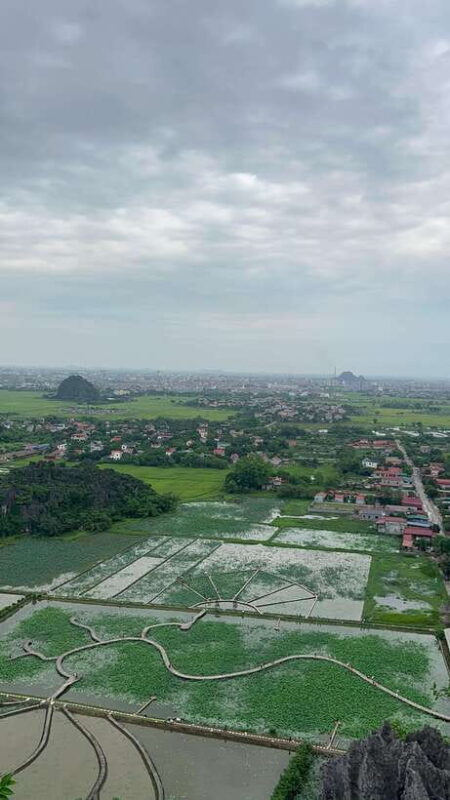 Ninh Binh Hoa Lu, Tam Coc Boat Ride, Mua Cave Hiking Tour - Additional Experiences and Practicalities