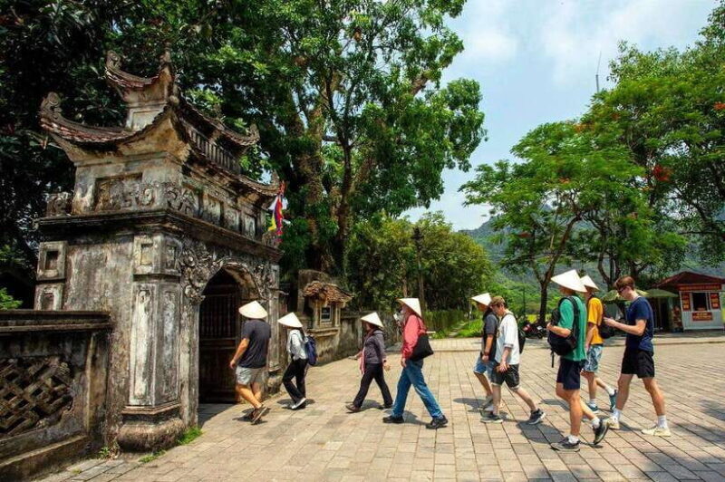 Ninh Binh: Hoa Lu- Trang An- Mua Cave Small Group Daily Tour - An In-Depth Look at the Tour Experience