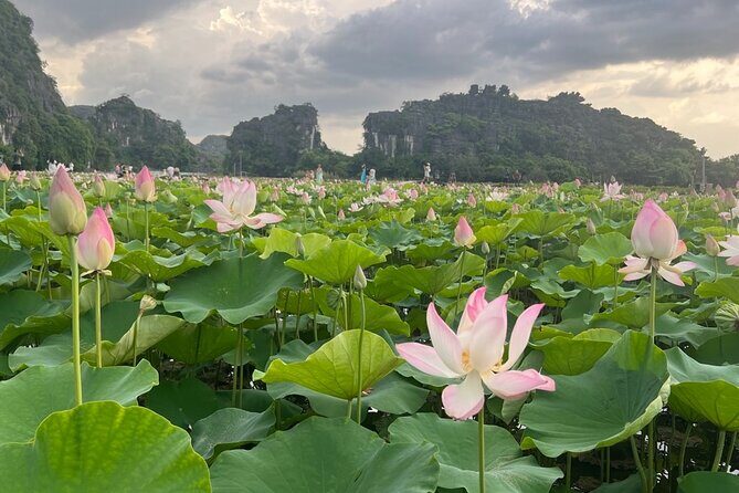 Ninh Binh Luxury Discovery - Transportation and Timing: What to Expect