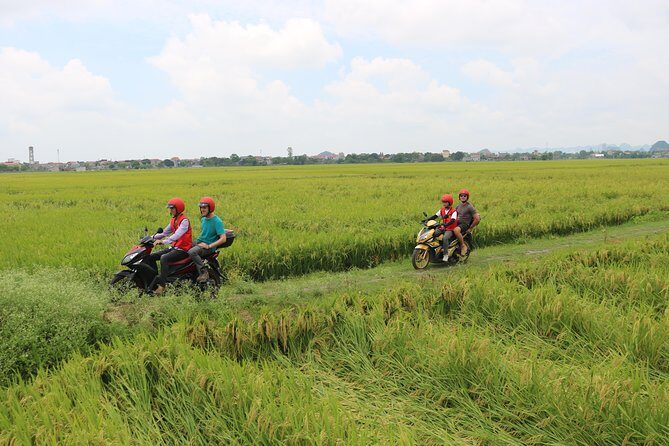 Ninh Binh Motorbike Half Day Rural Village, Rice Paddies - An In-Depth Look at the Tour Experience