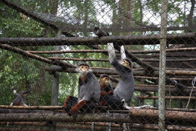 Ninh Binh One Day Cuc Phuong National Park Small Group Tour - FAQ: Your Practical Questions Answered