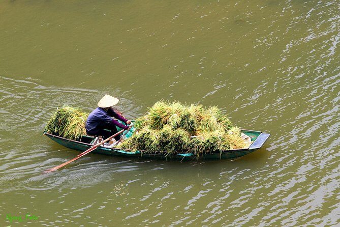 Ninh Binh Private Tour: Hoa Lu Tam Coc 1 Day Tour from Hanoi - What to Expect on This Ninh Binh Tour
