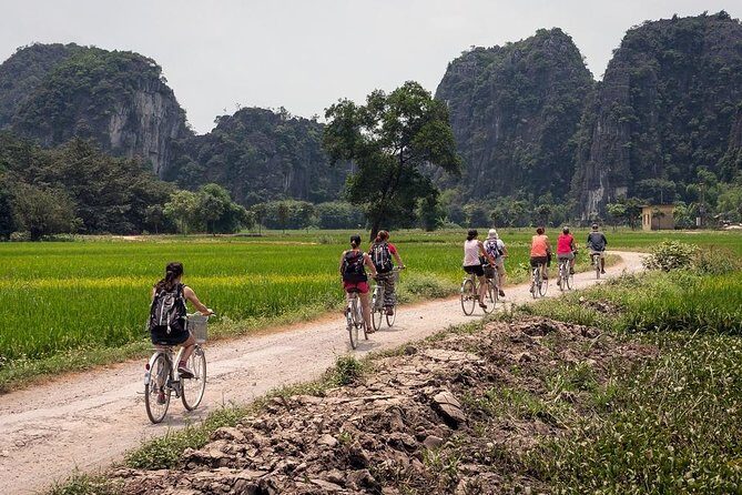 Ninh Binh Private VIP Tour - Analyzing the Experience: What You Can Expect
