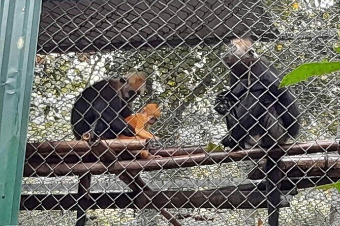 Ninh Binh : Small Group Tour Discover Cuc Phuong National Park - Practical Details