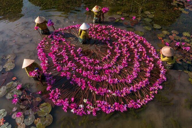 Ninh Binh Tam Coc Private Tour with Boat Trip and Lunch - An In-Depth Look at the Ninh Binh Tam Coc Private Tour