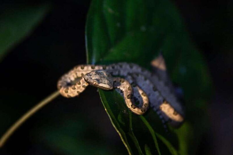 Ninh Binh Thung Nham, Cuc Phuong National Park 2 Day Tour - Key Points