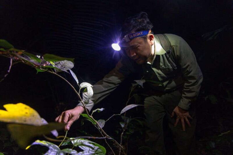 Ninh Binh Thung Nham, Cuc Phuong National Park 2 Day Tour - Day 1: Historical and Cultural Highlights