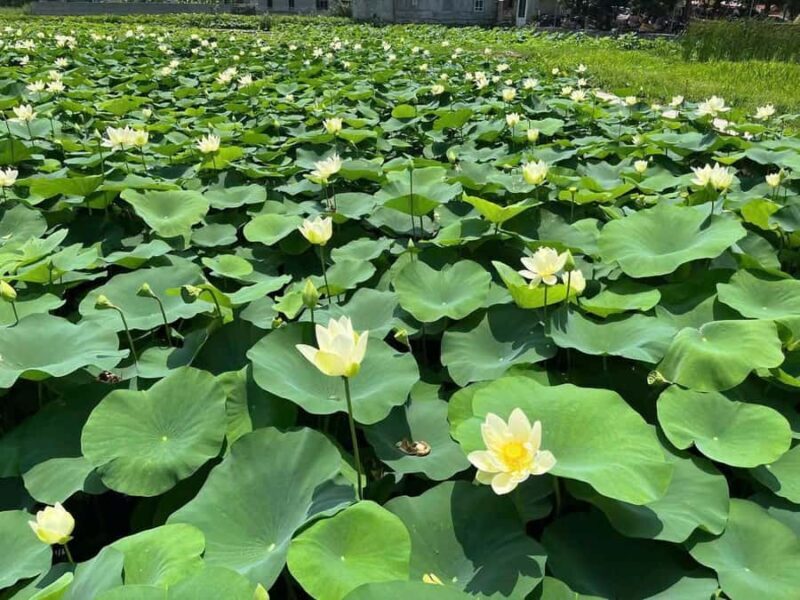 Ninh Binh Tour : Mua Cave, Bich Dong, Hoa Lu & Trang An - Who Should Consider This Tour?
