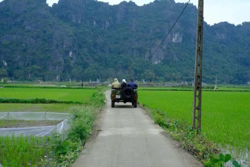 Ninh Binh: Trang An Boat Ride, Bich Dong & Mua Cave Tour - Climbing Mua Cave for Panoramic Views