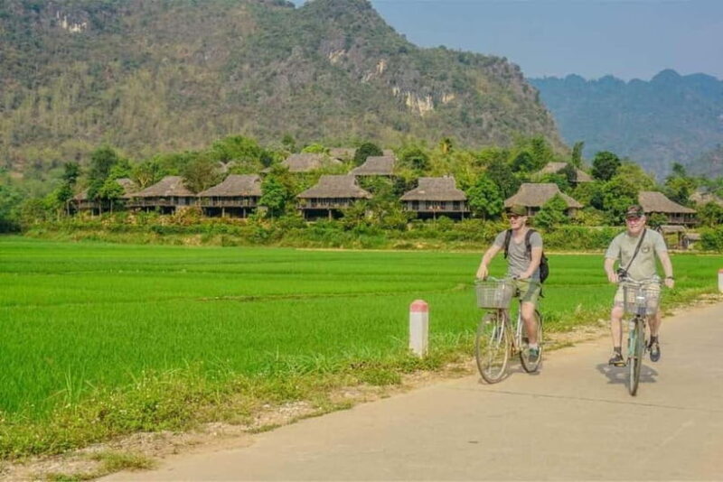 Ninh Binh: Trang An, Mua Cave, Hoa Lu & Bird Valley Day Trip - A Deep Dive into the Tour