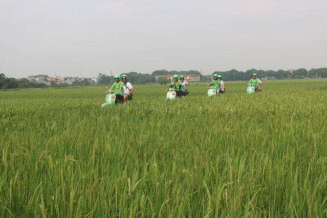 Ninh Binh Vespa Start from Hanoi + Boat + Villages +Rice Paddies - Is It Good Value?