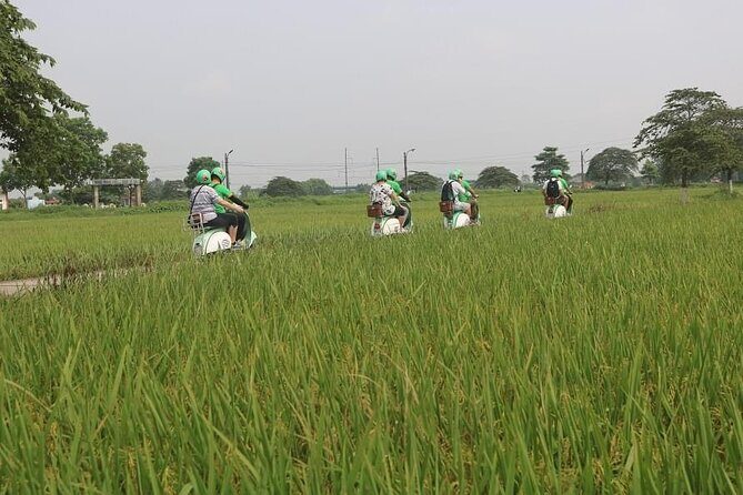 Ninh Binh Vespa Start from Hanoi + Boat + Villages +Rice Paddies - FAQs
