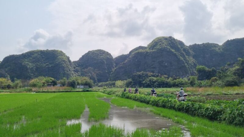 Ninh Binh Vespa Tours from Hanoi: Vespa + Boat + Daily Life - Key Points