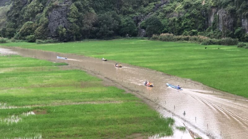 Ninh Binh Vespa Tours from Hanoi: Vespa + Boat + Daily Life - Who Would Love This Tour?