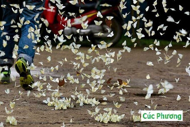 Ninh Binh Vietnam 2 Days - Discover multiple wonderful places - Key Points