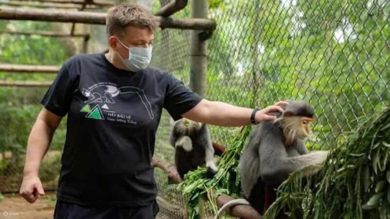 Ninh Binh: Wildlife, Jungle Hike, Cuc Phuong Park Guide Tour - A Day in the Forest: An In-Depth Look