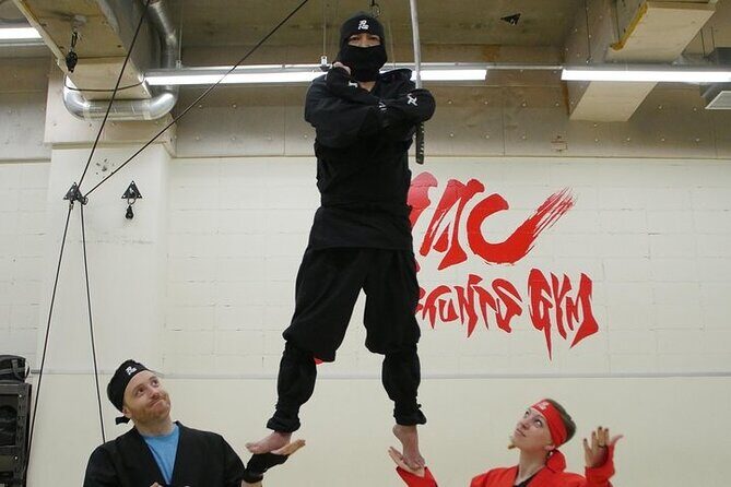 Ninja Wire Action Experience - Practical Tips for Making the Most of Your Visit