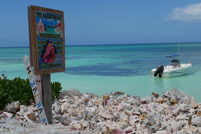 Nirvana Private Beach & Restaurant Round Trip Transportation - An Honest Look at the Nirvana Private Beach & Restaurant Round Trip Transportation