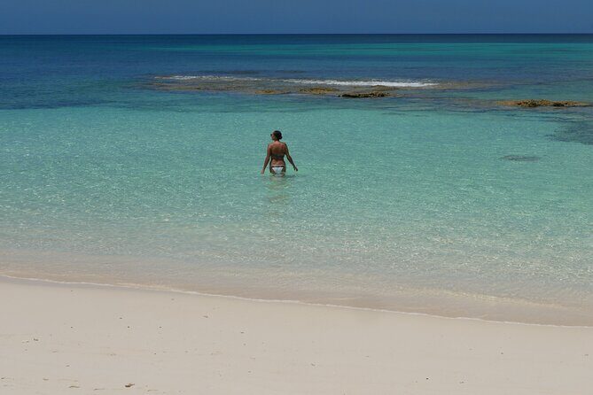 Nirvana Private Beach & Restaurant Round Trip Transportation - Final Thoughts