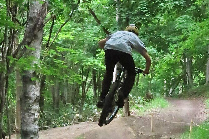 Niseko Mountain Biking Tour - An Overview of This Mountain Biking Experience