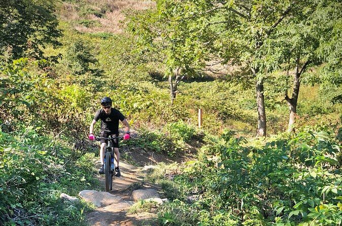 Niseko Mountain Biking Tour - Practical Details and Considerations