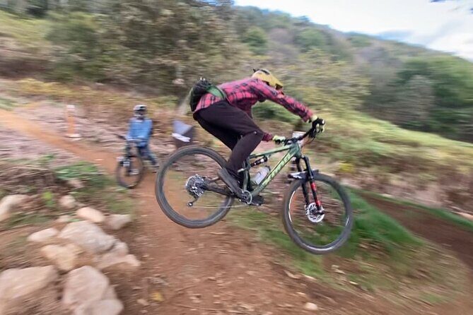 Niseko Mountain Biking Tour - Final Thoughts: Is This Tour for You?