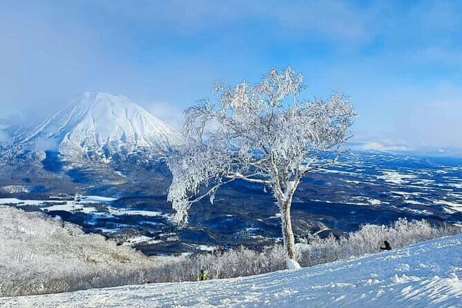 Niseko to Chitose Airport or Sapporo Private Transfer - Key Points