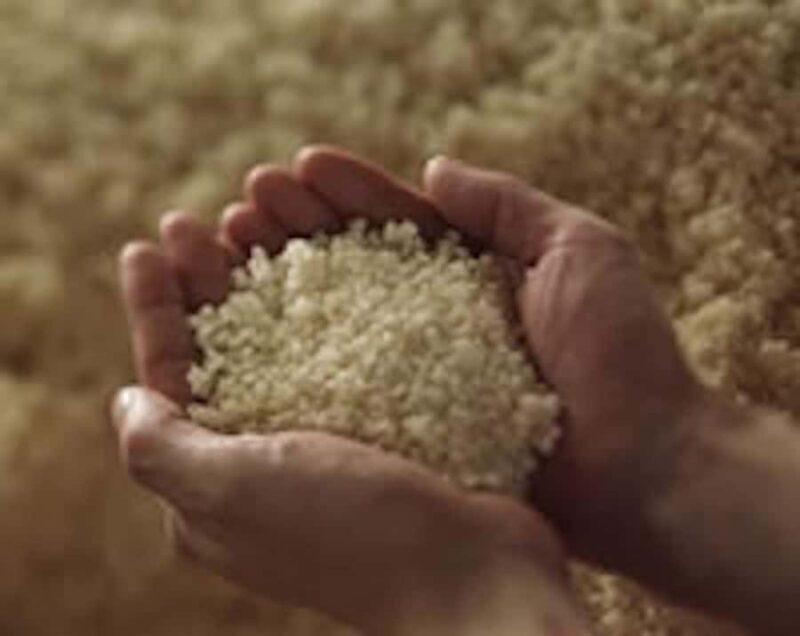 Nishinomiya: Nihonsakari Sake Brewery Tour and Tasting - Practical Details and Tips for Visitors