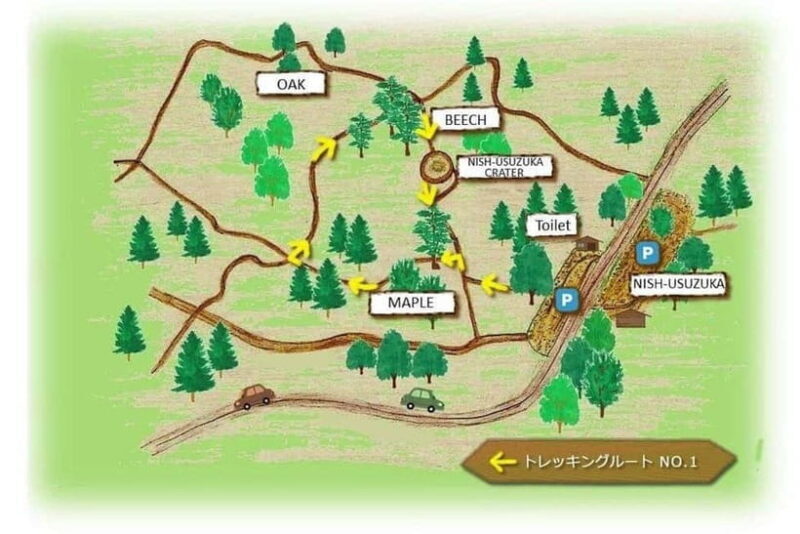 Nishiusuzuka: Fuji Forest Hiking Tour with Guide & Transfer - What to Bring and Wear