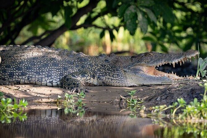 Nitmiluk National Park & Katherine Hot Springs - Sacred Owl Tours - Introduction: What Makes This Tour Special?