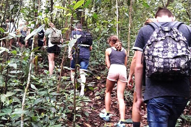 No.1 Chiang Mai: 3-Hour Monk Trail Hike to Wat Doi Suthep & Palad - A Practical Overview of the Tour