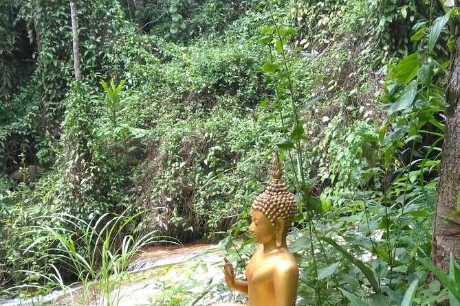 No.1 Chiang Mai: 3-Hour Monk Trail Hike to Wat Doi Suthep & Palad - The Value for Your Money