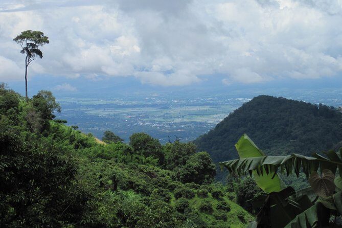 No.1 Chiang Mai: Advanced Downhill Mountain Biking, Suthep N.Park - Who Should Consider This Tour?