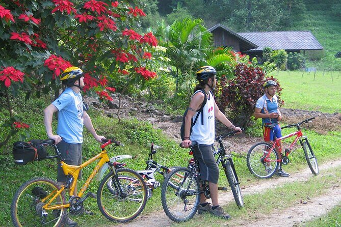 No.1 Chiang Mai: Advanced XC Downhill Biking, Doi Suthep N. Park - Equipment, Safety, and Support