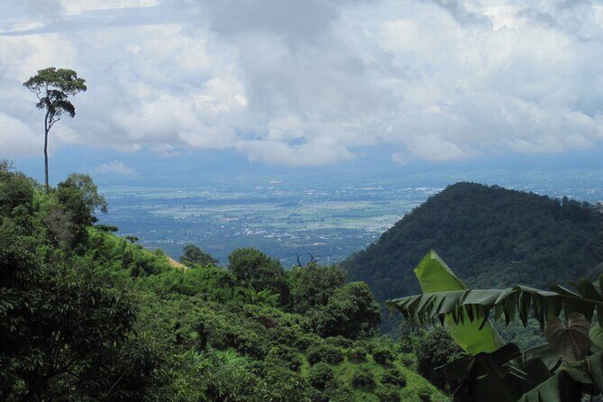 No.1 Chiang Mai: Advanced XC Downhill Biking, Doi Suthep N. Park - Authentic Feedback from Riders