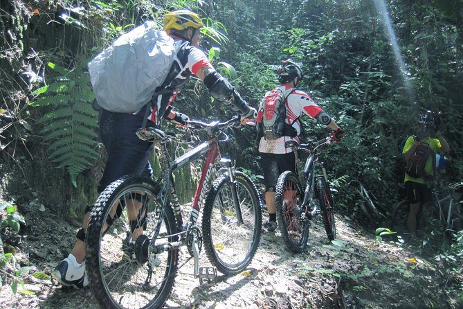 No.1 Chiang Mai: Advanced XC Downhill Biking, Doi Suthep N. Park - Who Should Book This Tour?