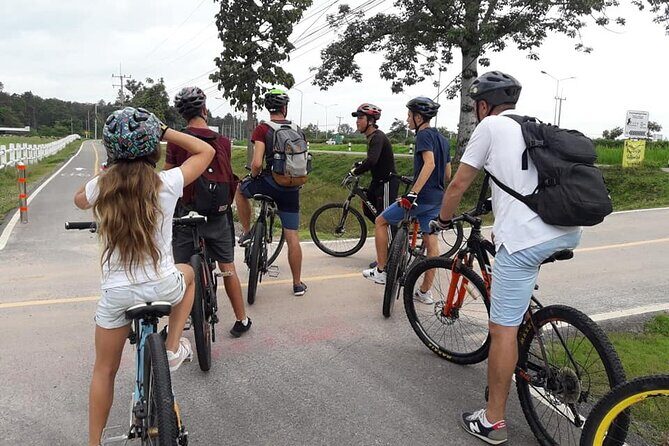 "No.1 Chiang Mai: Half Day Rice Field Vision Mountain Biking " - The Experience: What You Can Expect