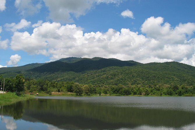 "No.1 Chiang Mai: Leisure Bicycle Ride to Lake Huay Tueng Tao" - Why This Tour Works Well