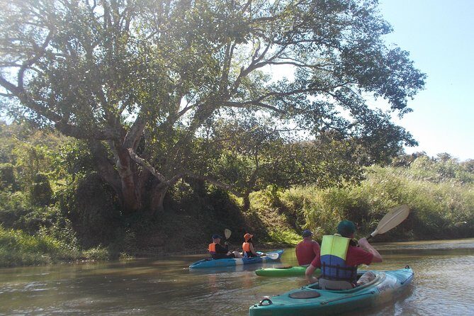 No.1 Chiang Mai: Leisure River Kayaking: Mae Taeng forest Reserve - An In-Depth Look at the Chiang Mai River Kayaking Tour